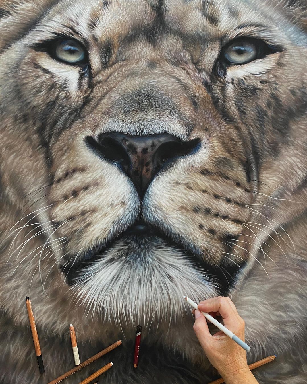 julierhodes_fine_art_drawings@instagram on Pinno: I love to paint, but ...