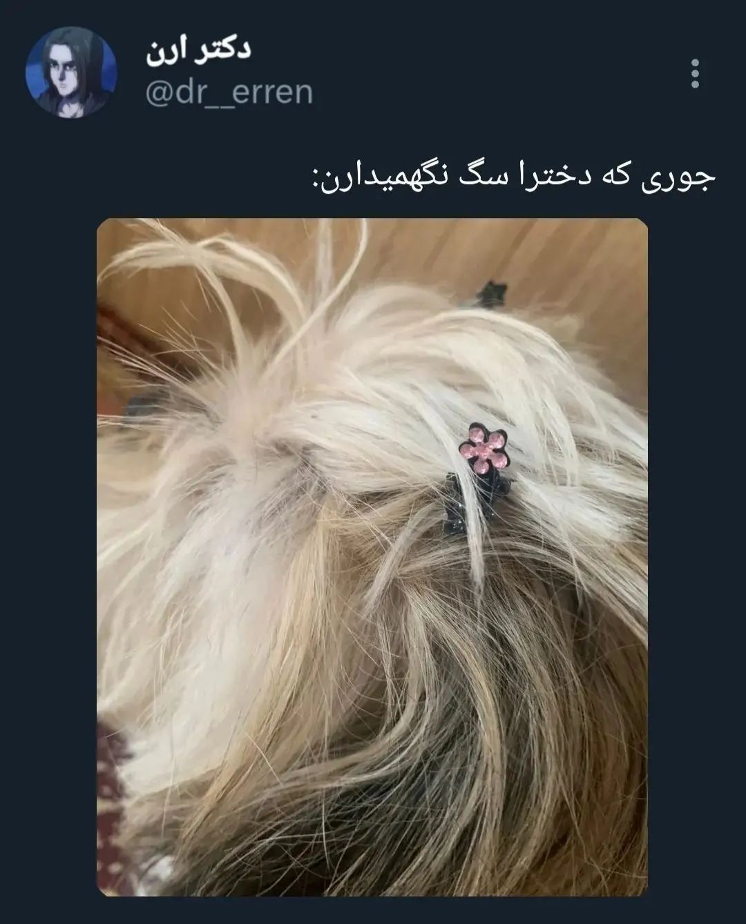 Gilberttextinstagram On Pinno دقیقا😂😍 توییترفارسی توییتر